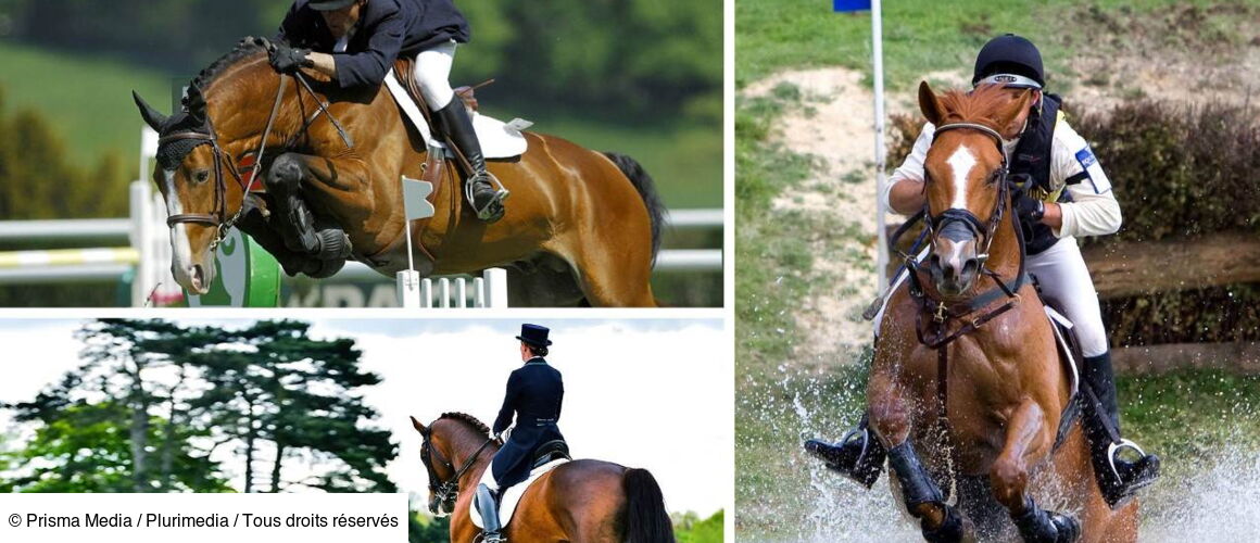 Grand Prix - Equitation - Télé-Loisirs
