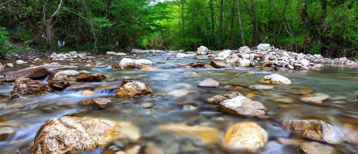 La rivière : 06/05/2019 à 23h50 sur France 3 Lorraine - Télé-Loisirs