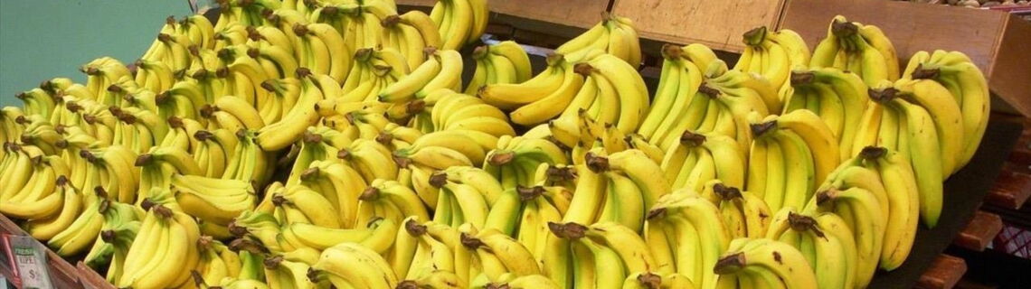 La banane, l'or des Antillais : 09/12/2019 à 10h50 sur France Ô - Télé ...