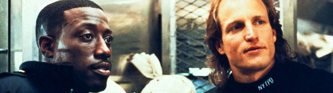 Money Train de Joseph Ruben (1995), synopsis, casting, diffusions tv ...