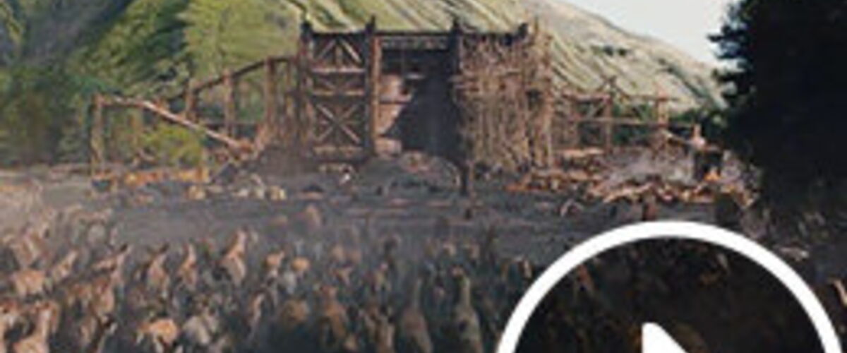 Noé : l'impressionnante arche dévoilée dans un nouvel extrait ! (VIDEO)