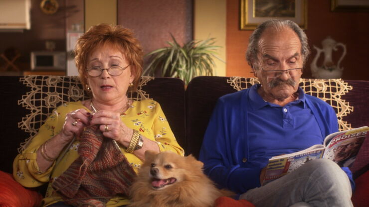 Chien dans l'actualité - Télé-Loisirs