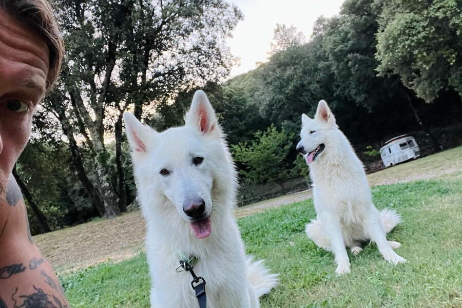 Julien Doré : qui sont Simone et Jean-Marc, ses deux adorables chiens ...