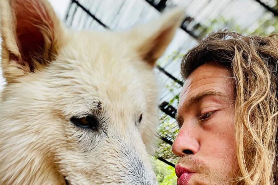 Julien Doré : qui sont Simone et Jean-Marc, ses deux adorables chiens ...