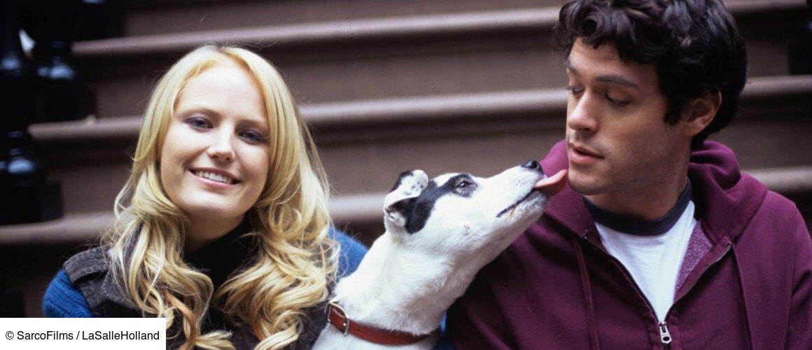 Toi, moi... et mon chien de Marcel Sarmiento (2007), synopsis, casting ...