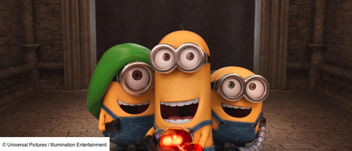 Les Minions de Kyle Balda (2015), synopsis, casting, diffusions tv ...