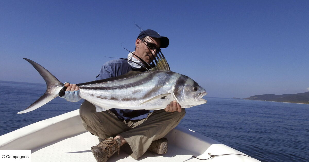Pêche au Mexique : du coq à l'espadon