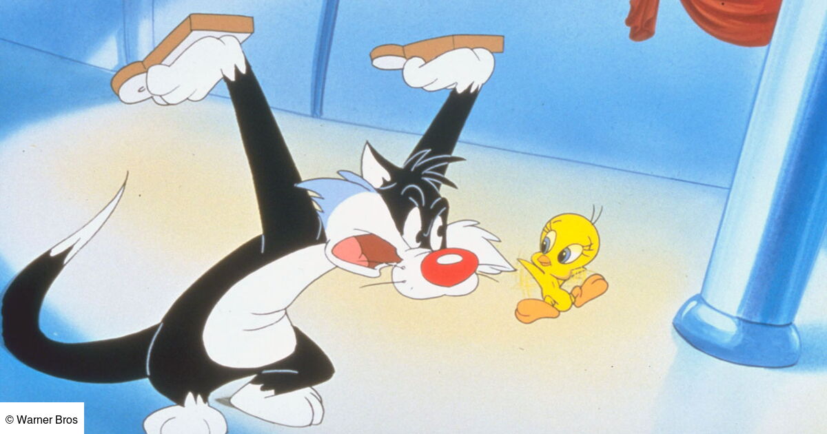 Titi et Grosminet mènent l'enquête