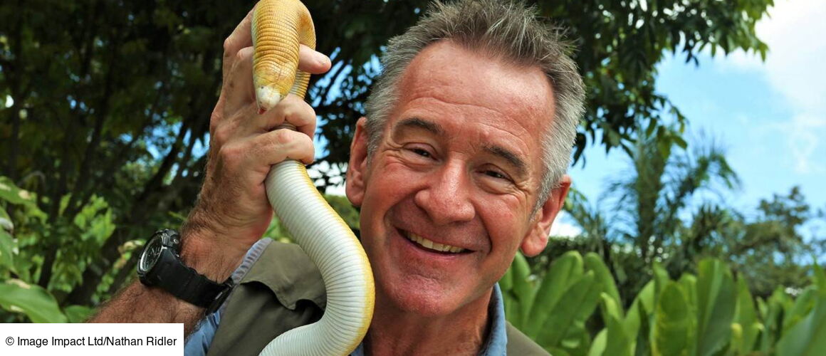 Brésil - Chasseur de serpents - Télé-Loisirs