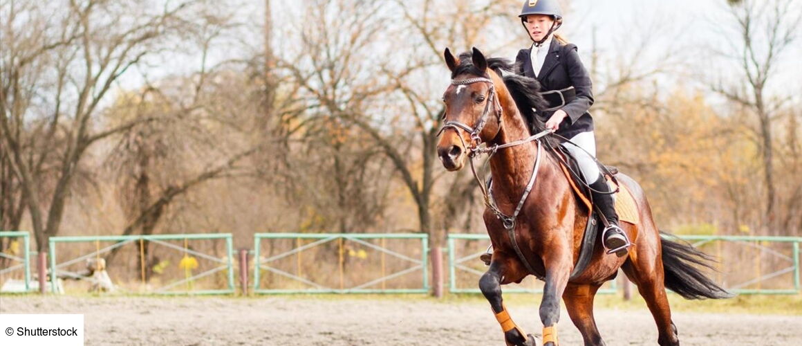 Grand Prix - Equitation - Télé-Loisirs