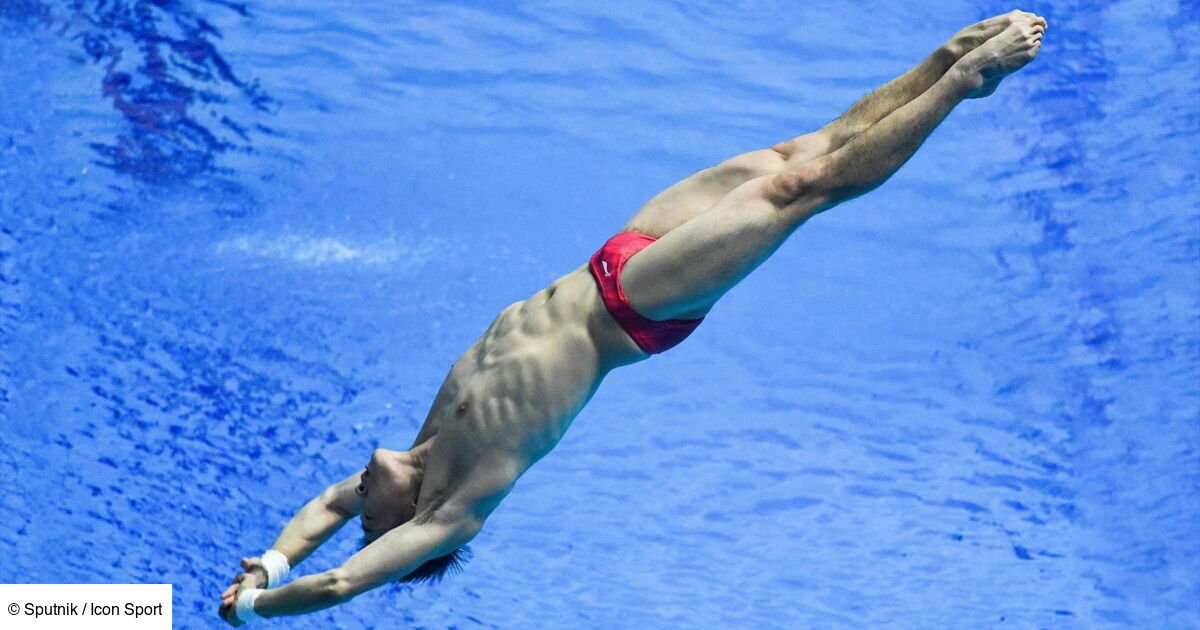 Plongeon