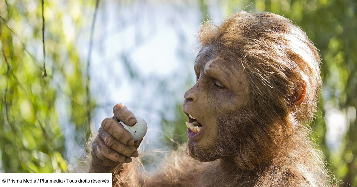 Sur les traces du premier homme