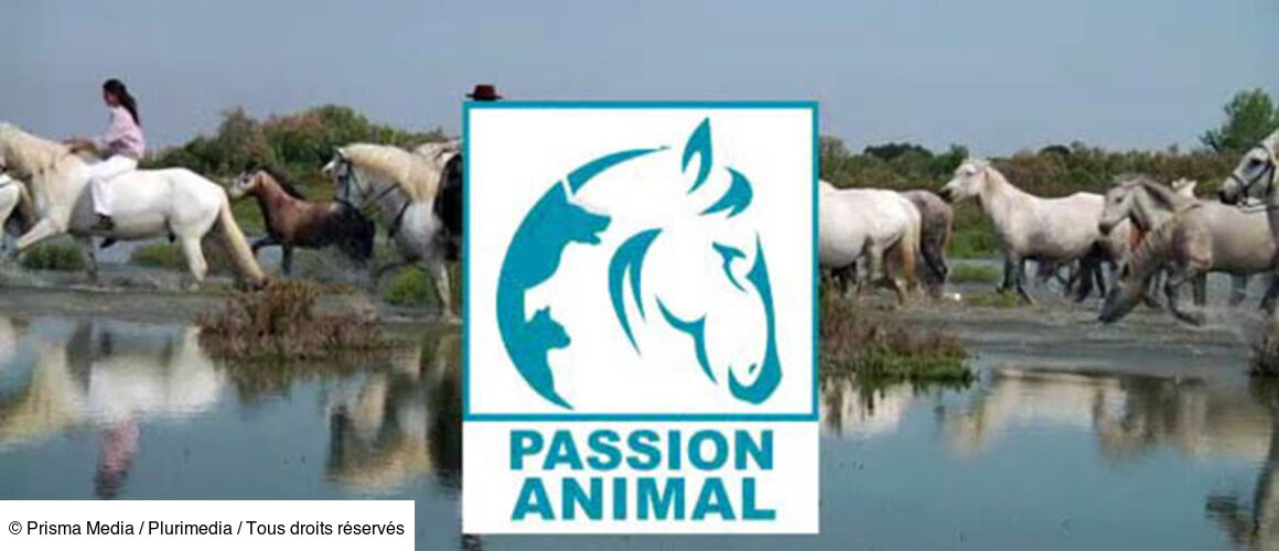 Passion animal - Télé-Loisirs