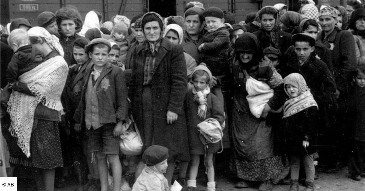 Juifs De Pologne juifs-de-pologne