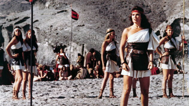 Les Amazones de Terence Young (1974), synopsis, casting, diffusions tv, photos, videos...- Télé ...