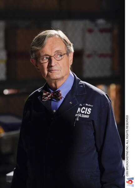 NCIS : les acteurs ont bien changé depuis la saison 1 - Télé Loisirs
