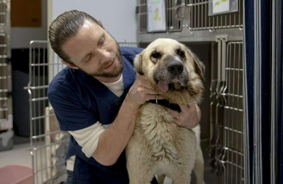 Danny Pintauro, Jonathan Bower dans Madame est servie, revient sur le ...