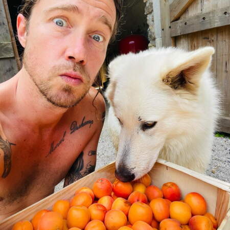 Julien Doré : qui sont Simone et Jean-Marc, ses deux adorables chiens ...