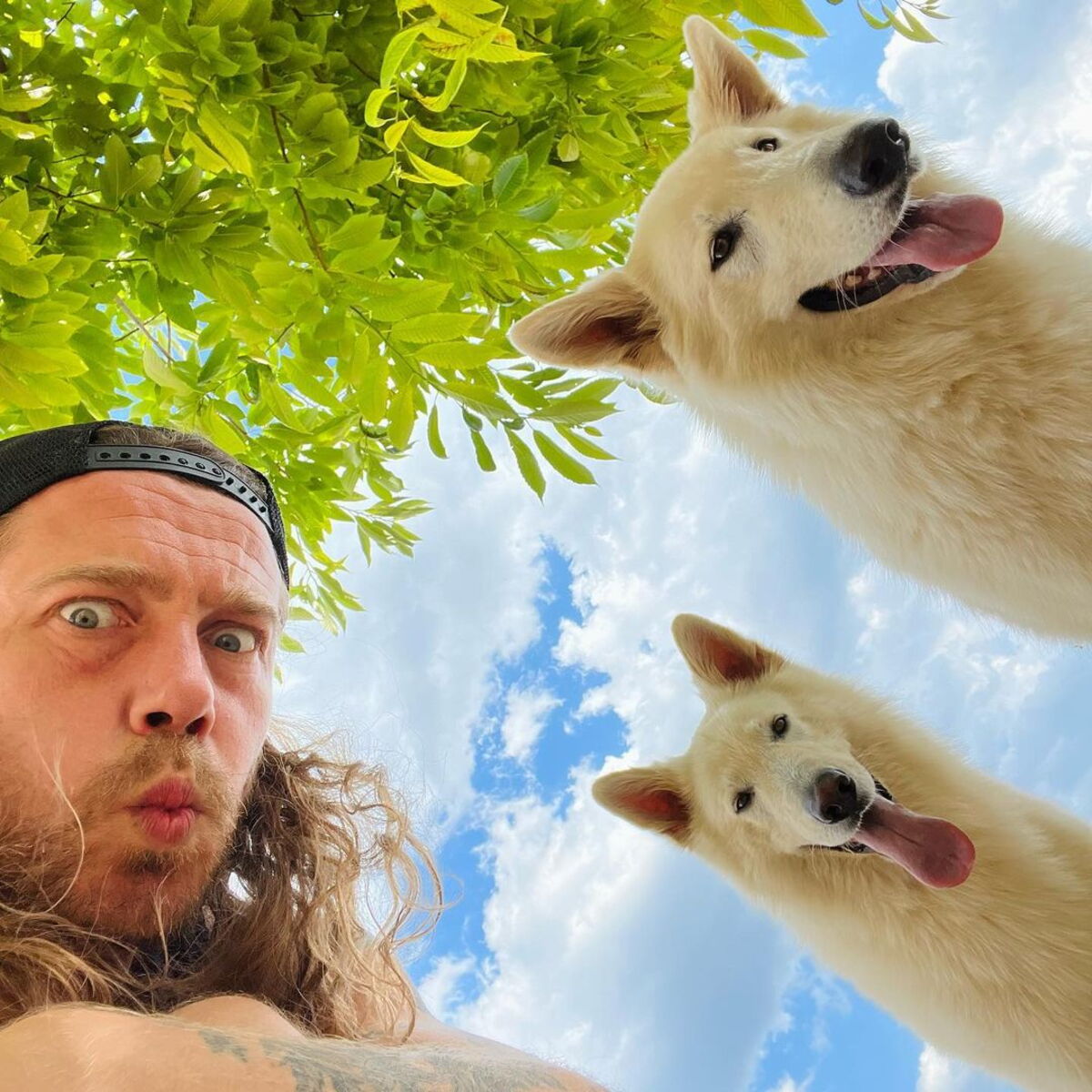 Julien Doré : qui sont Simone et Jean-Marc, ses deux adorables chiens ...