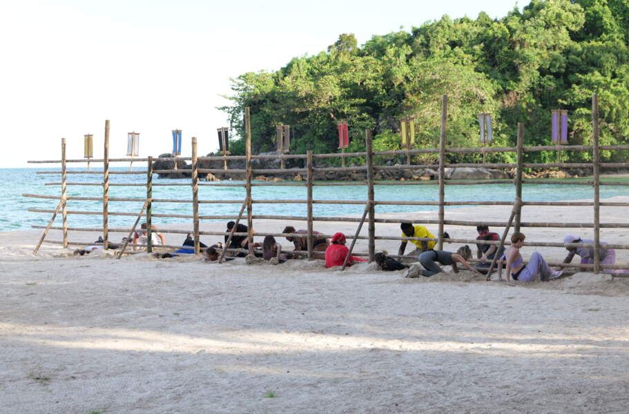 Les Apprentis aventuriers saison 8 : Voici le casting complet - Télé ...